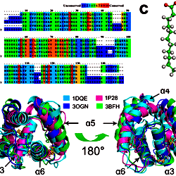 OBP sequences and structures.