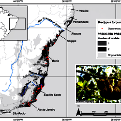 Potential geographic distribution of the maned sloth (Bradypus ...