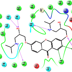 Ligplot of 1b with β1 receptor active site.
