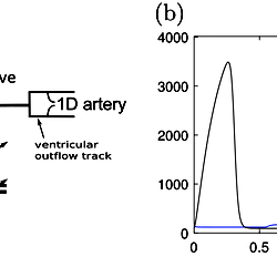Pulse transit time estimation of aortic pulse wave velocity and blood ...