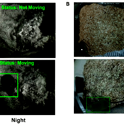 Animal motion detection and tracking.