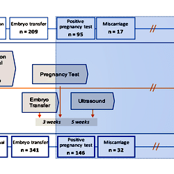 Flowchart of IVF cycles procedures included and their outcomes in the 2 ...
