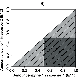 Evolutionary trajectories with 2 species and 2 input resources starting ...