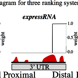 Diagram of three ranking methods.
