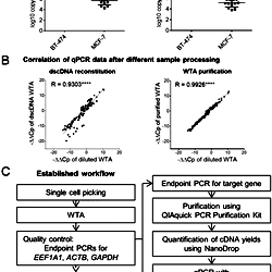 Novel qPCR-based workflow for highly accurate gene expression analysis ...