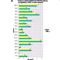 Differences between CMS1 and other CRC subtypes.