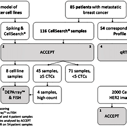 Schematic overview of samples and workflow.