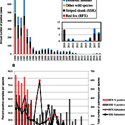Origins of the arctic fox variant rabies viruses responsible for recent ...