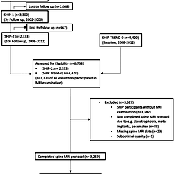 STROBE flow diagram: Flowchart of eligible participants for the current ...