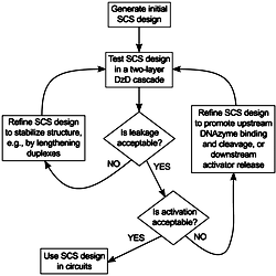 Flowchart of the iterative design process.