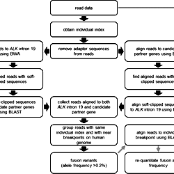 Flowchart of sequencing data analysis.