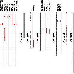 A map of all QTL identified in 2012.