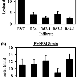 R3a and R3a* variants expressed from Agrobacterium reduce the spread of ...