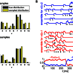 Spikes as samples from probability distributions.