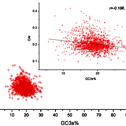 The codon adaptation index (CAI) values for genes of M. bovis.