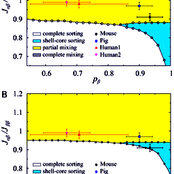 Phase diagrams of binary mixtures.
