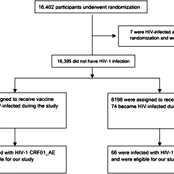 Flowchart diagram of HIV-1 breakthrough infections in RV144.