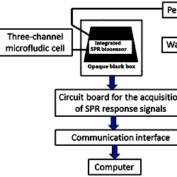 Schematic flow chart of the biosensing system designed by using ...