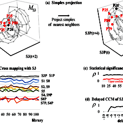 Convergent cross mapping.