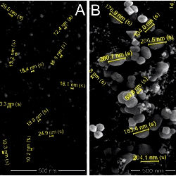 SEM image of the TiO2 nanoparticles (Ø ∼20 nm), with optically ...
