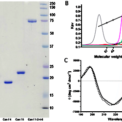 Biochemical analysis of the linked molecule.