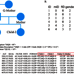 Illustration of input files.
