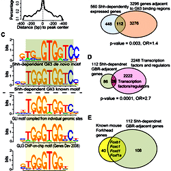 Analysis of ChIP-Seq data and its intersection with transcriptional ...