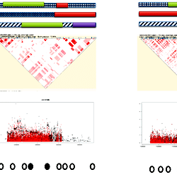Illustration of model input.