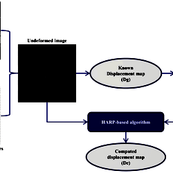 Simulation algorithm.