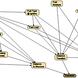 Influence diagrams for the Bayesian Network Model.