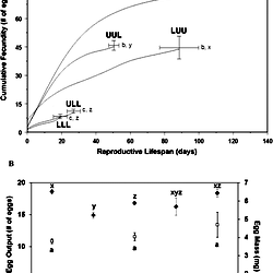 Reproductive performance.