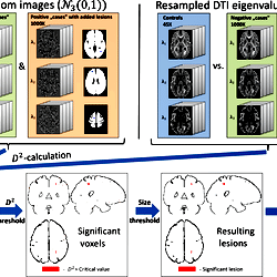Flow chart demonstrating steps of the simulations.