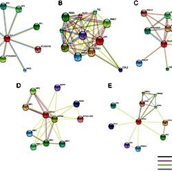 Protein-protein interaction networks of S. fruticosa transcription ...