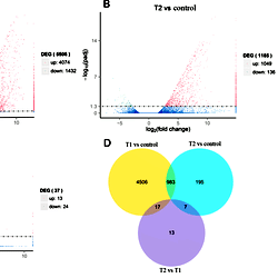 The DEG number and clustering analysis of DEG expression profile.