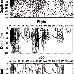 Cross section of biological tracers.