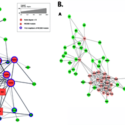 Use multiple figures.