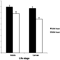 Patch choice by adult females versus larvae.