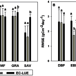 Comparison among models for different PFTs.
