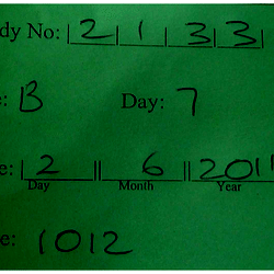 An example of the participant identification card described in table 1.