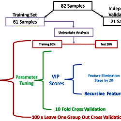 Classification modeling process.