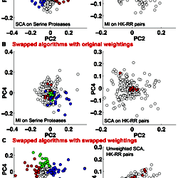 A) PCA of (left) the correlation matrix produced by SCA v3.0 applied to ...