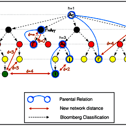 Examples of network distance as defined in Eq. 1.