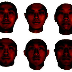 Examples of the face stimuli obtained by the 3dMD face capture system ...