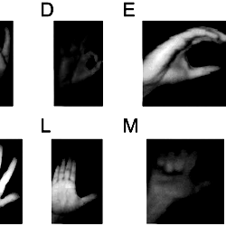 Hand poses of the dataset.
