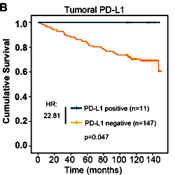 Prognostic value of stromal types and PD-L1 expression status.