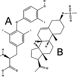 Molecular structure of T3 and PS.