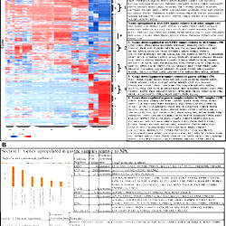 Hierarchical clustering heat map of gene expression of all samples and ...