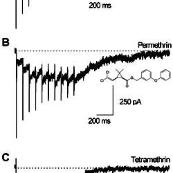 Use-dependent effects of type II (cypermethrin) and type I (permethrin ...