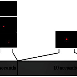 First Interface Protocol.