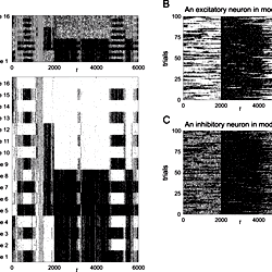 Spike activity of the neurons.
